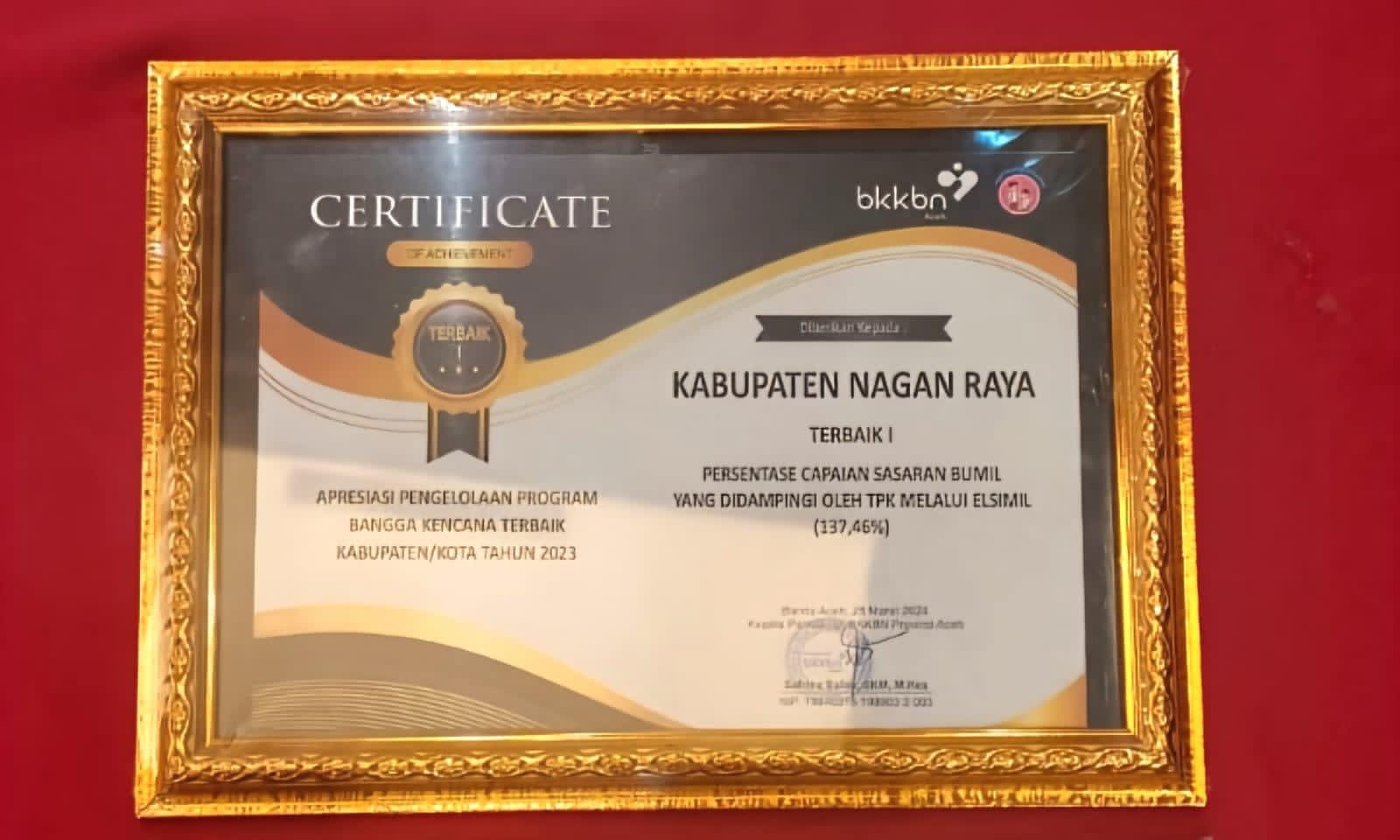 Nagan Raya Kembali Meraih Penghargaan Bergengsi Pengololaan Program ...